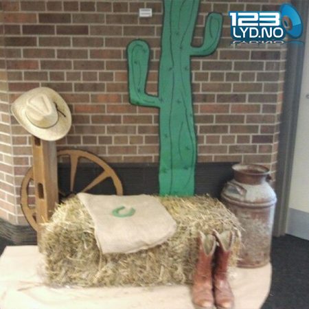 Halmballer til Cowboy Western party til salgs og utleie i Oslo